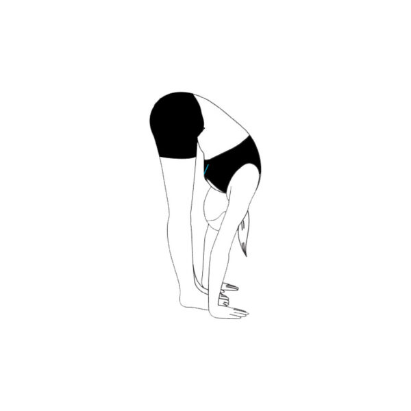 5 Stretches to Relieve Shoulder Pain - AVALA
