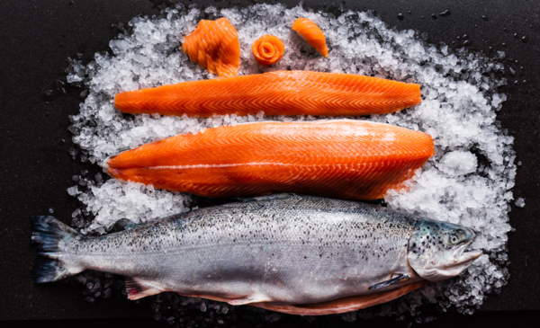 Best Fish for Arthritis - AVALA
