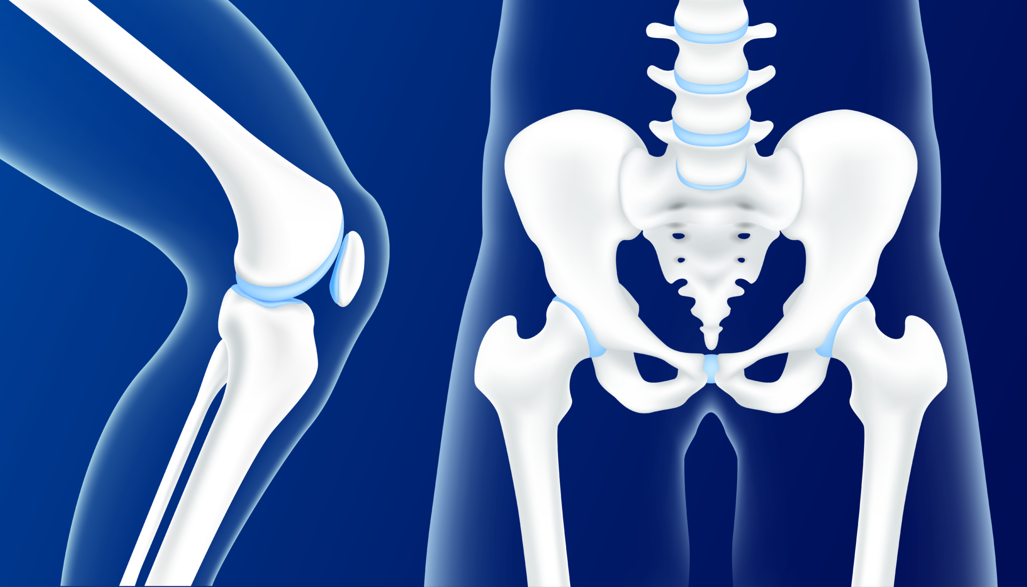 Blue Distinction Center+ - AVALA